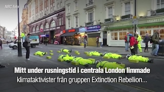 Extinction rebellion
