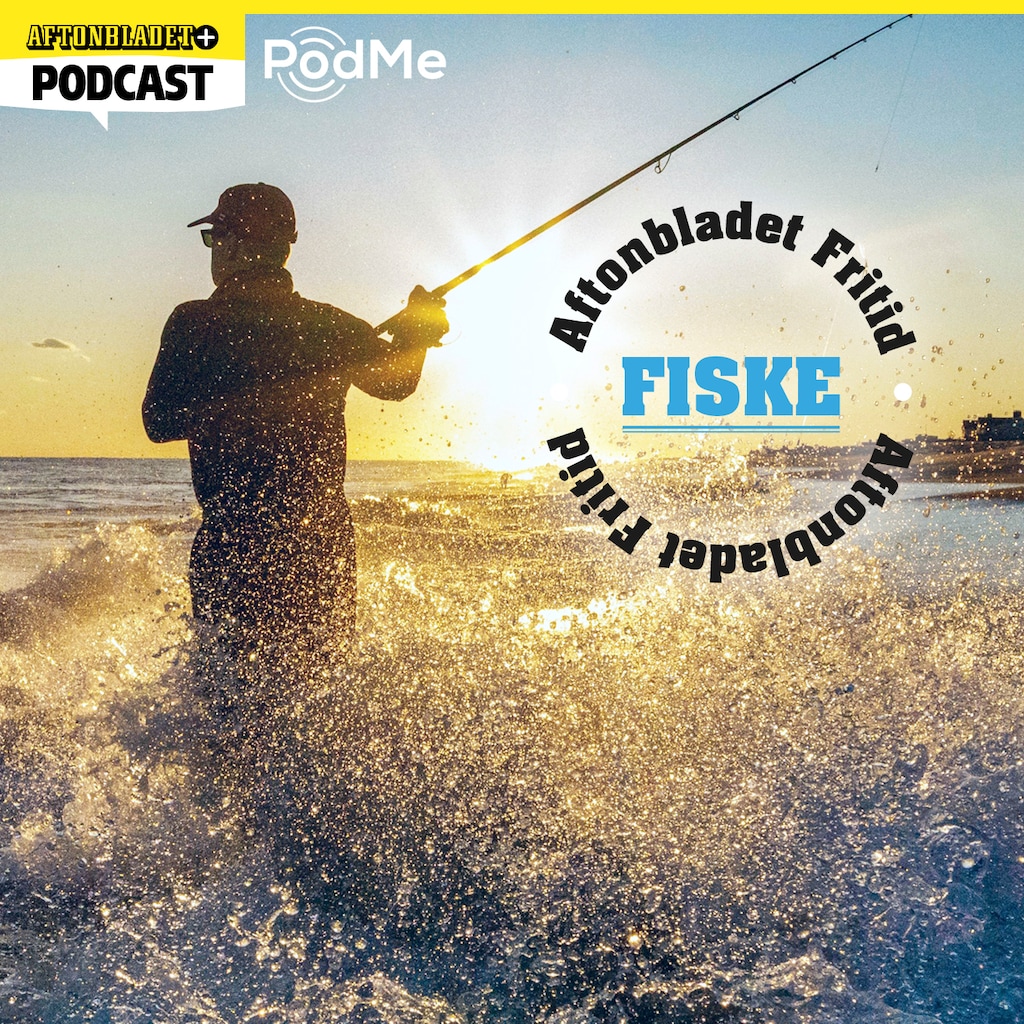 Fallet som skakar Norge: Dödshjälparen Steinar Wangen – Aftonbladet podcast