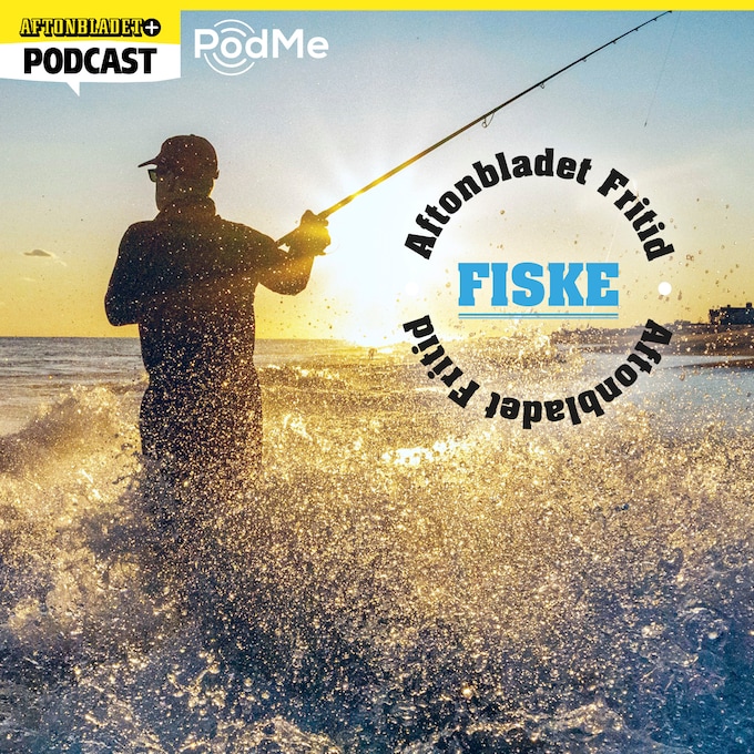 Pokémon och de kriminella gängen – Aftonbladet podcast