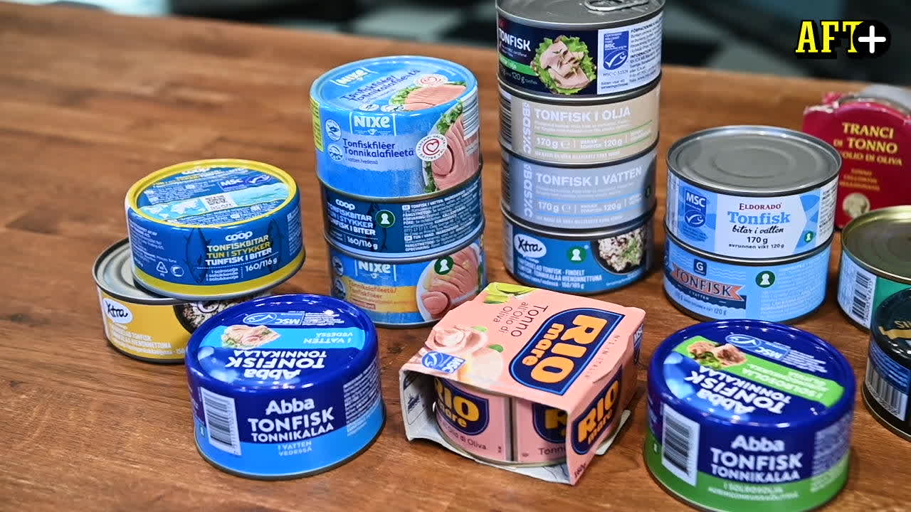 Stort test: 19 sorters tonfisk i vatten och olja