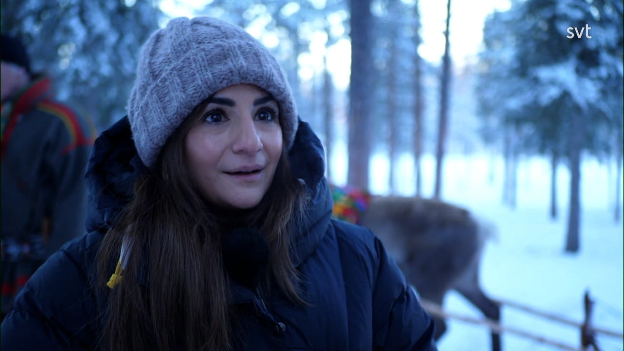 Parisa Liljestrand svarar fel på frågor om Sápmi - Aftonbladet TV
