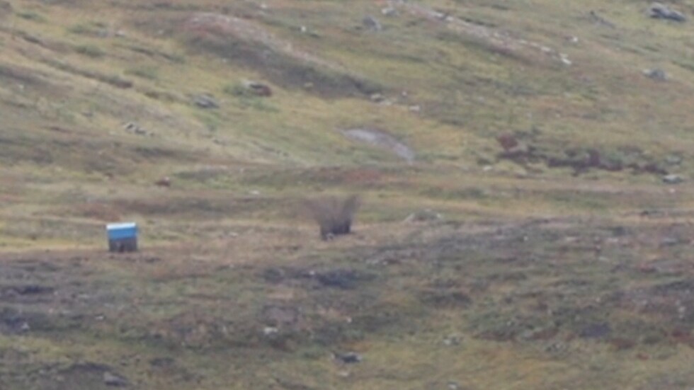 Her trener Forsvaret sammen med amerikanske bombefly på Setermoen ...