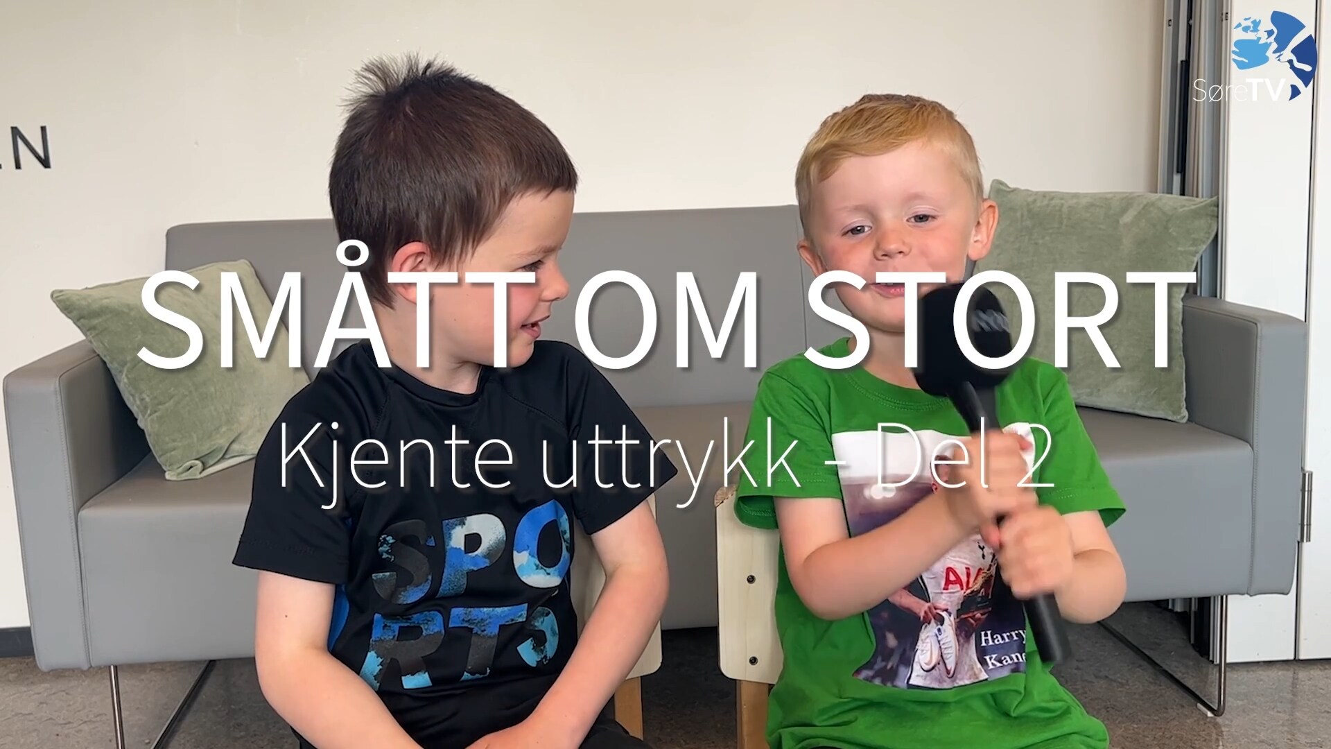 Smått om stort - Kjente uttrykk del 2