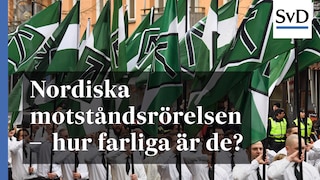 NMR, Nordiska motståndsrörelsen