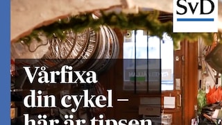 Cykel