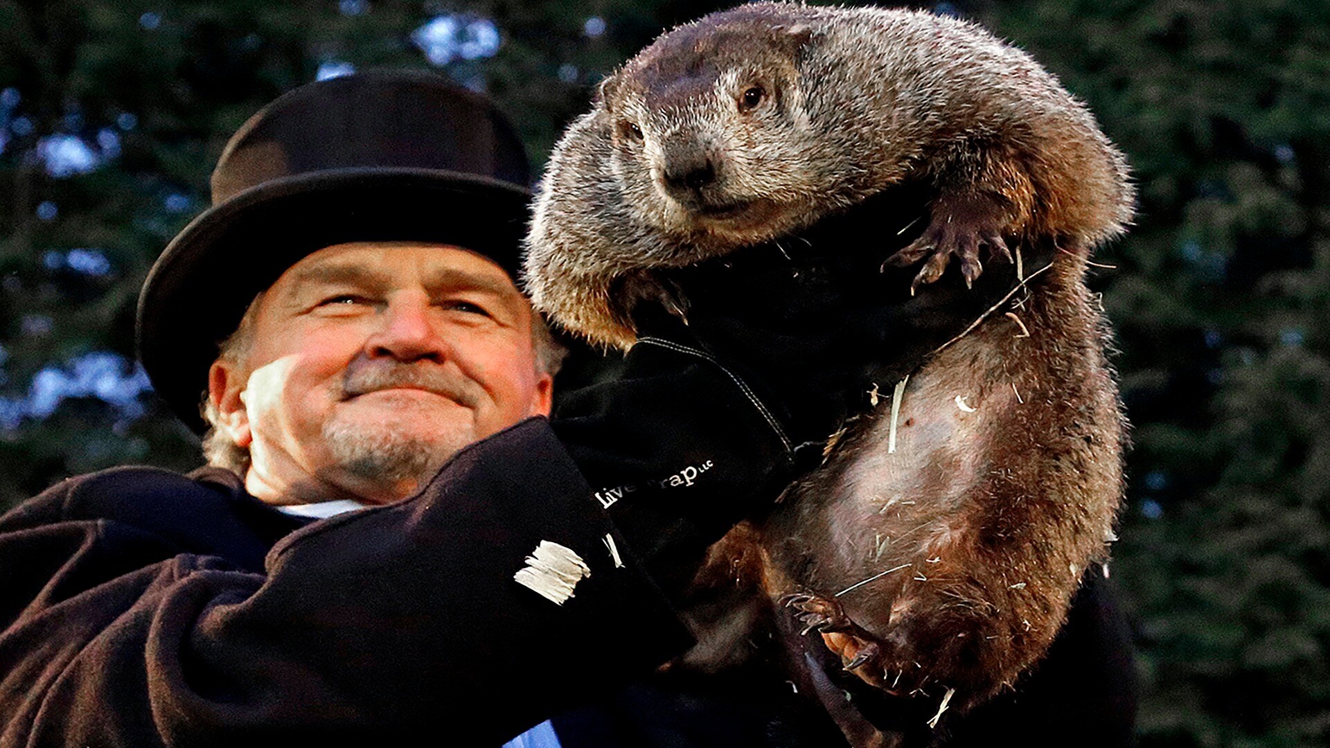 «Groundhog Day» - Murmeldyr spår været for 2018 - VGTV