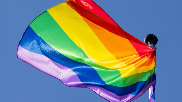 Pride-flaggs betydning: Dette betyr de ulike flaggene